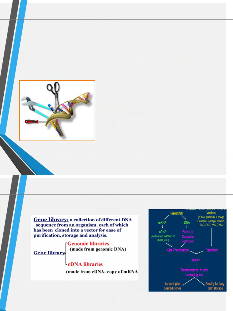 Understanding Genomic and cDNA Libraries | PDF | Complementary Dna | Dna