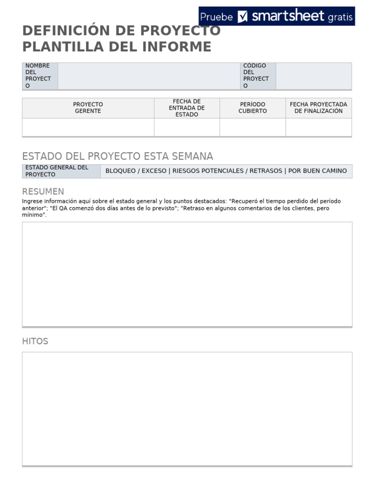 IC-Project-Definition-Report-11338_WORD_ES | PDF