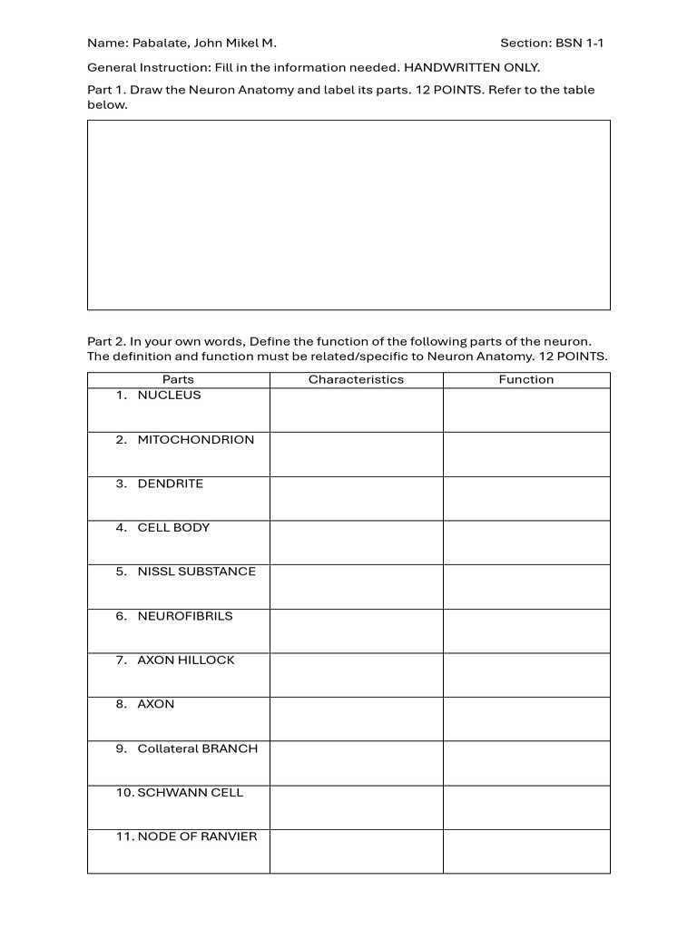 Nervous System Activity | PDF | Spinal Cord | Neuron