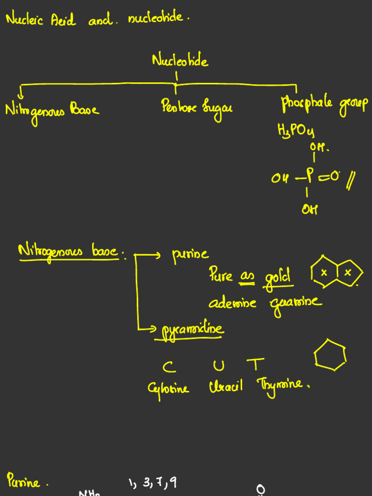 68a854333c5361f7454fc6c5 - ## - BIOMOLECULES - (P3) | PDF | Nucleotides ...