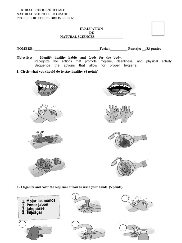 Evaluation of Hygiene and Healthy Living Habits 1st Grade | PDF