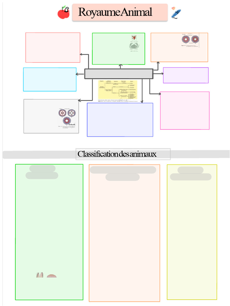 Carte Mentale Du Royaume Animal | PDF