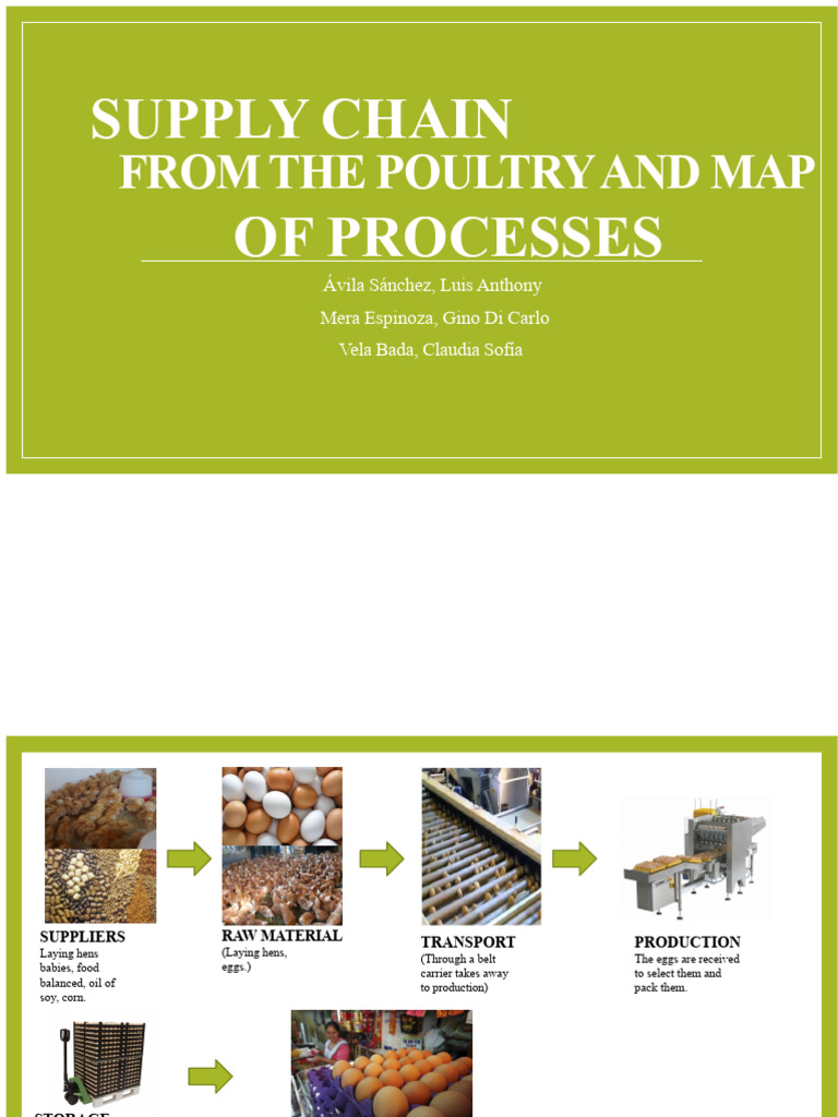 Poultry Supply Chain | PDF