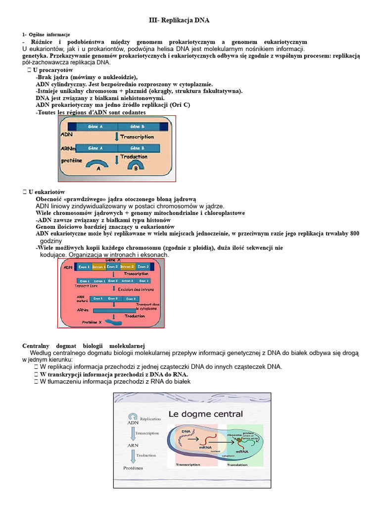 Replikacja DNA 2°LMD Genetyka | PDF