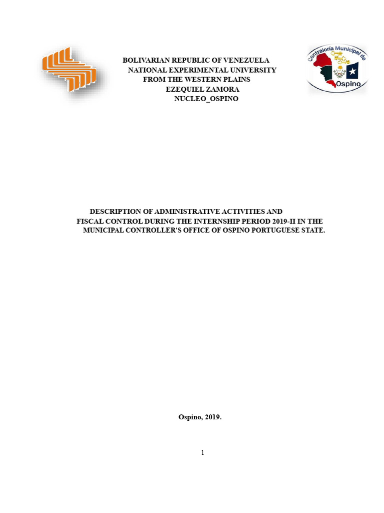 Internship Report Structure | PDF