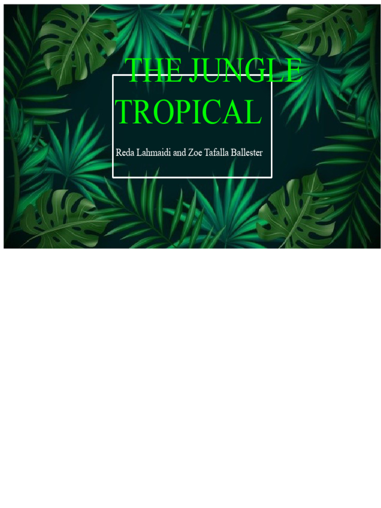 The Tropical Rainforest | PDF | Tropics | Rainforest