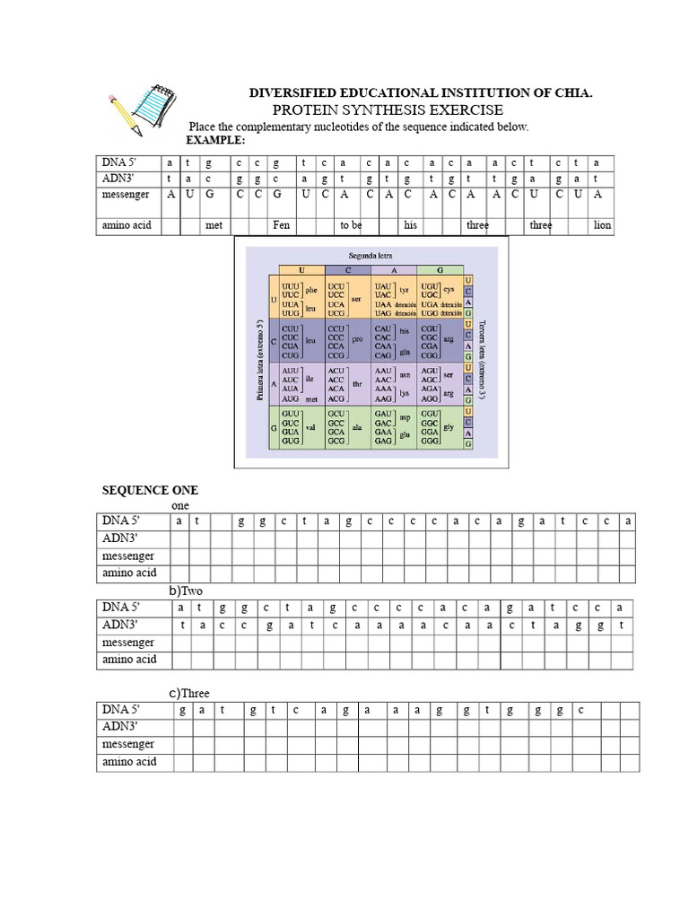 Evaluation Synthesis of Proteins | PDF | Nucleic Acid Sequence ...