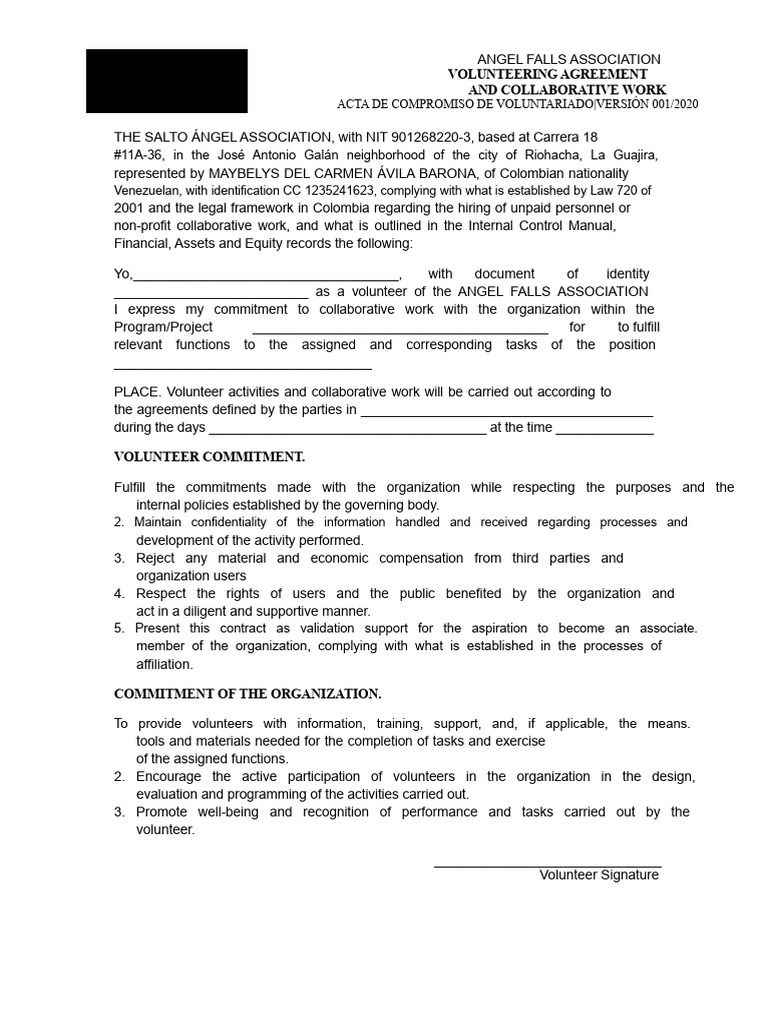 Volunteer Agreement (Format) | PDF | Business