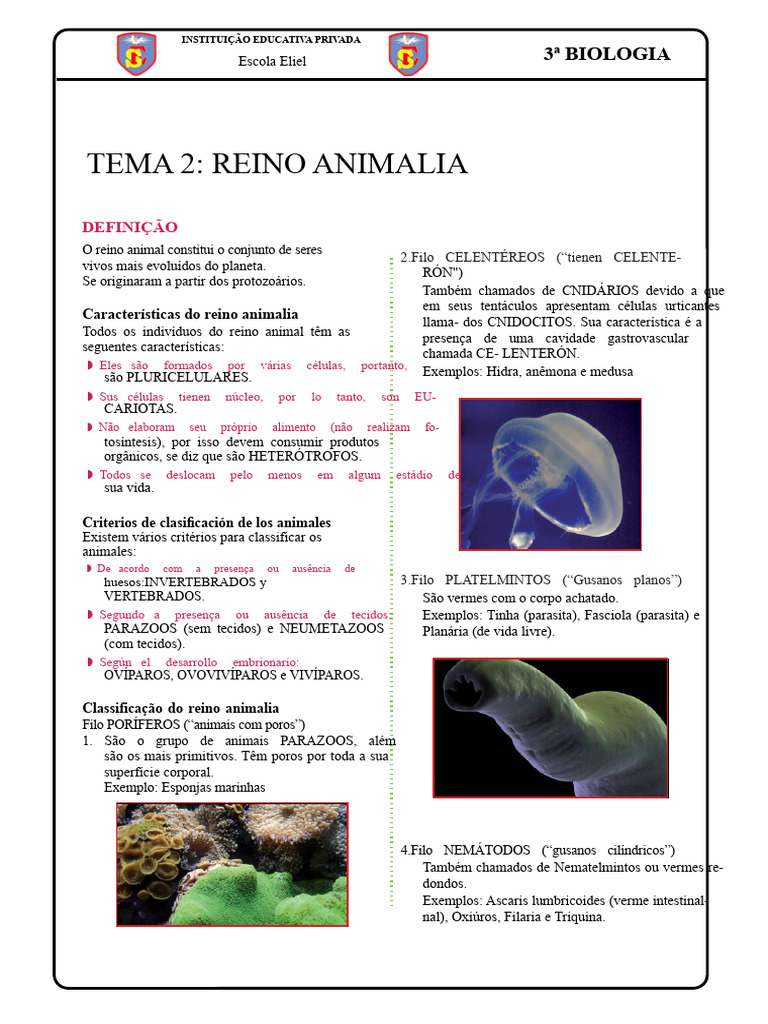 TEMA 2 Reino Animal Para o Terceiro Ano do Ensino Secundário (1) Cópia ...