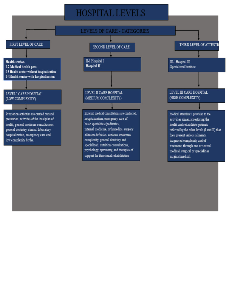 Levels of Hospital Care Explained | PDF