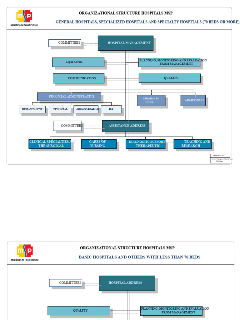 Hospital Organizational Charts | PDF | Pharmacy | Physical Therapy