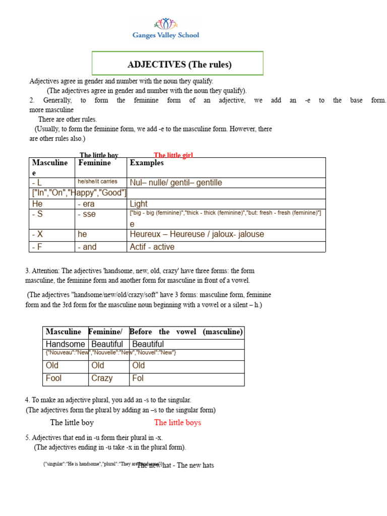 French Adjective Agreement Rules | PDF | Grammatical Gender | Adjective