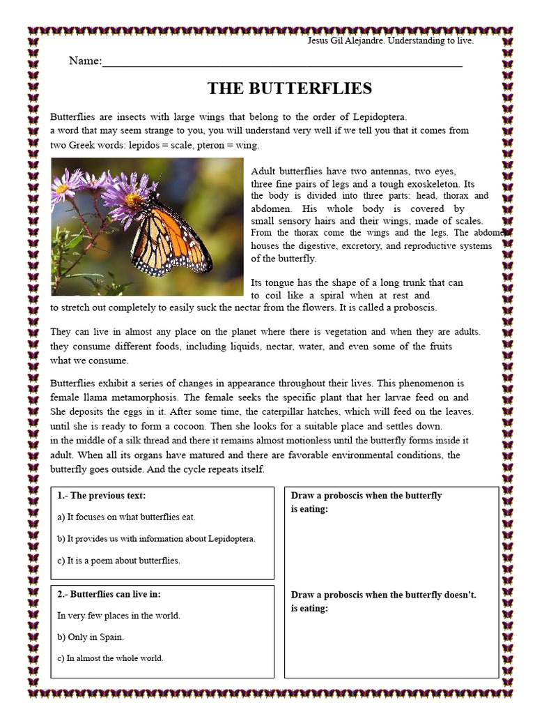 Informative The Butterfly | PDF | Lepidoptera | Butterfly
