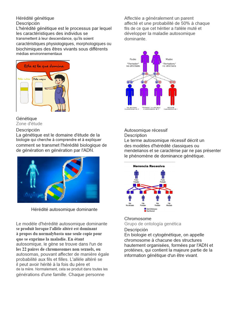 Hérédité génétique et chromosomes humains | PDF | Hérédité | Dominance ...