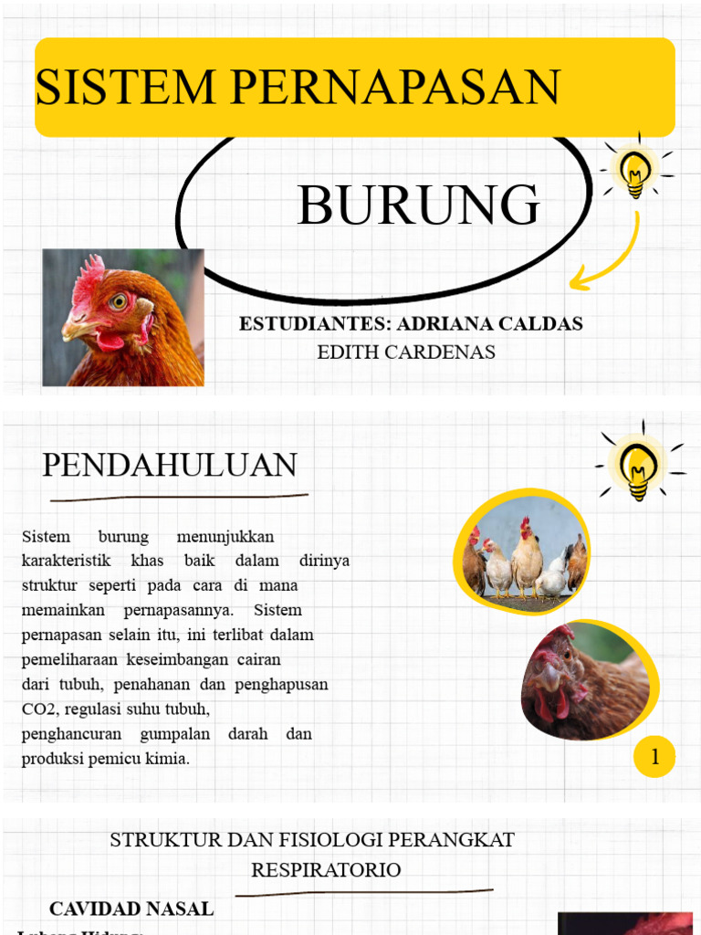 Sistem Pernapasan Burung | PDF