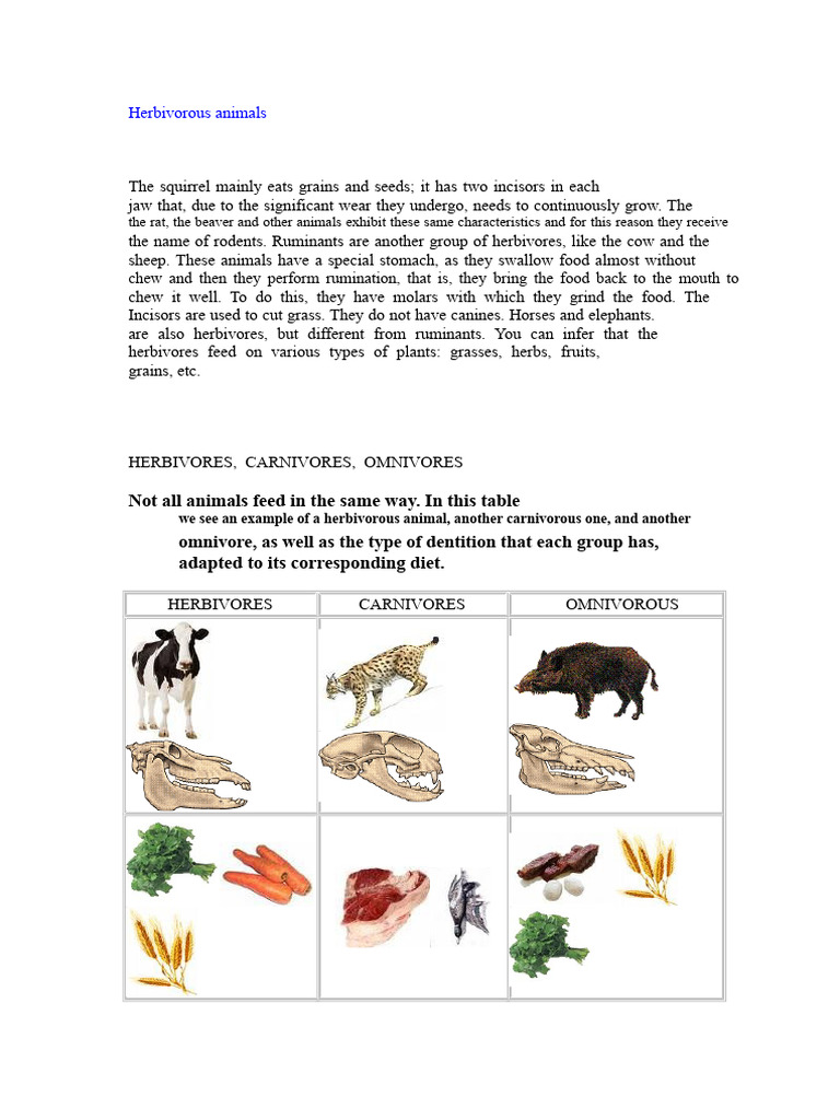 Carnivores Herbivores Omnivores | PDF
