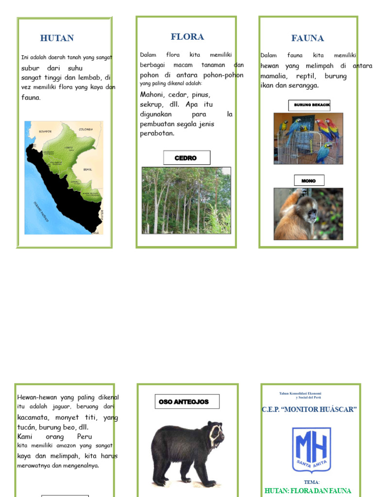 Triptik Hutan Flora Dan Fauna | PDF