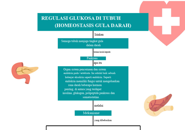 Regulasi Glukosa dan Pankreas | PDF
