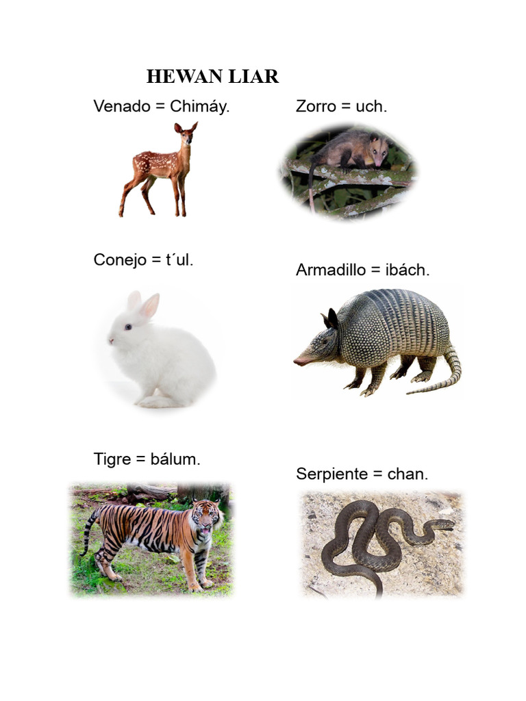 HEWAN LIAR Yokot Ant | PDF | Zoologi
