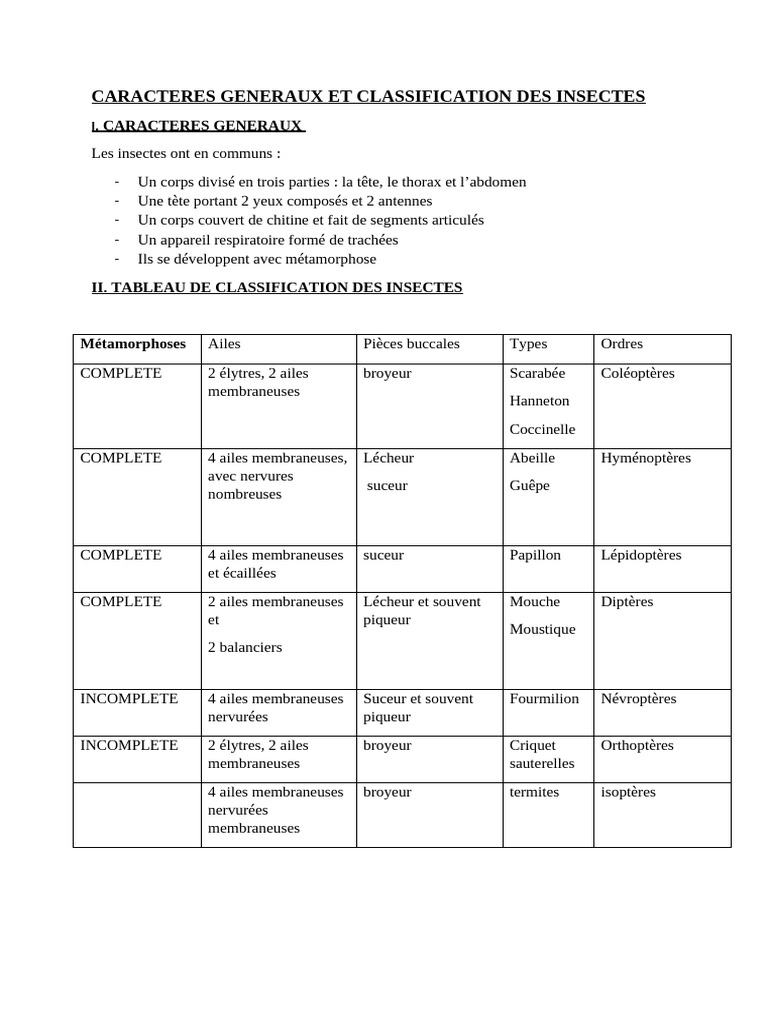 Caractéristiques et classification des insectes | PDF