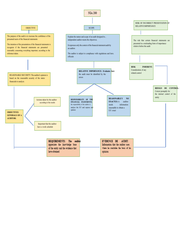Conceptual Map Nia 200 | PDF | Audit | Accounting