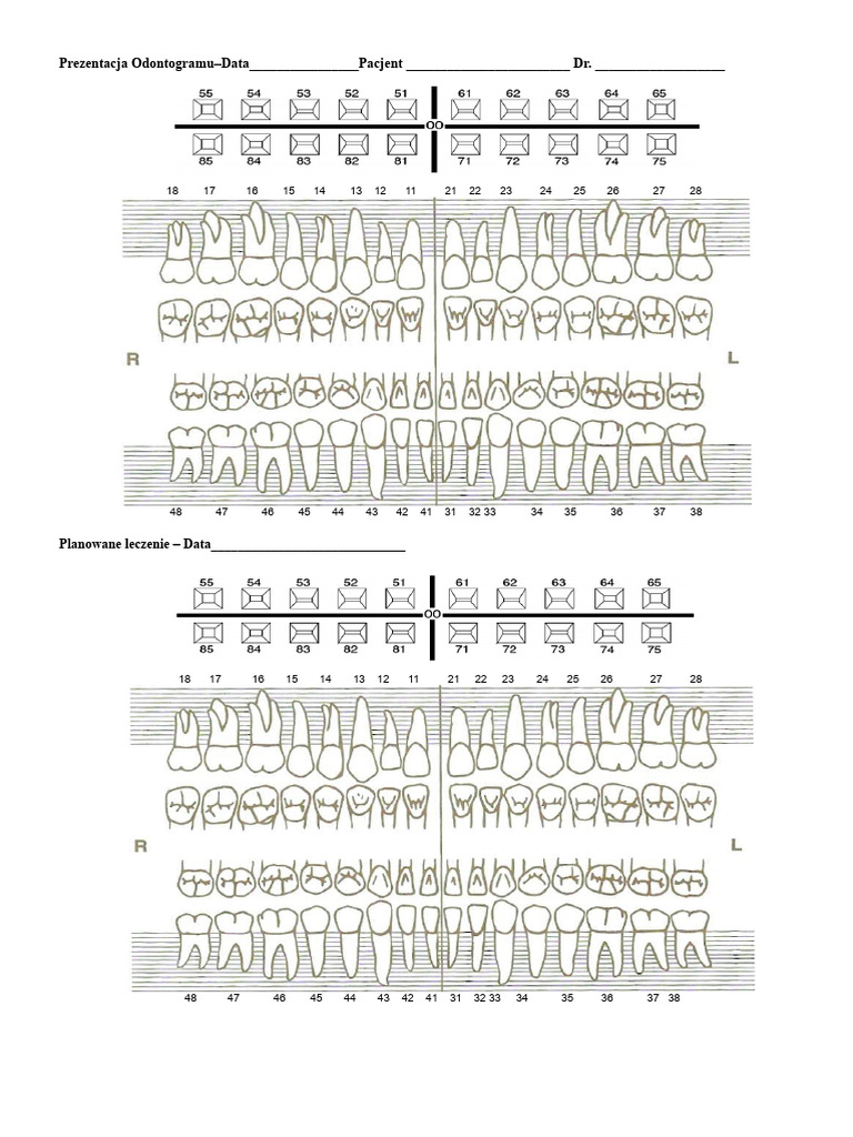 Przykładowy Odontogram Obecne I Planowane Leczenie PDF | PDF