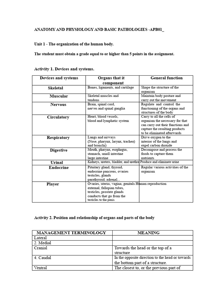 TASK Anatomy, Physiology, and Basic Pathologies | PDF | Human Body ...