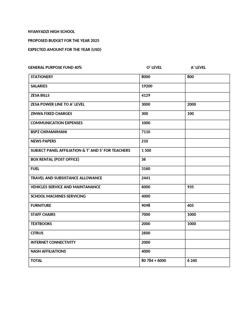 Proposed Budget For 2025 | PDF