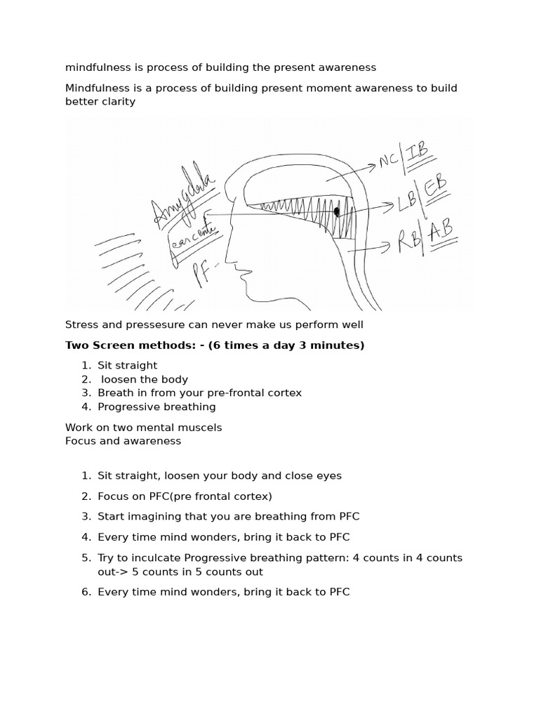 Mind Fullness | PDF