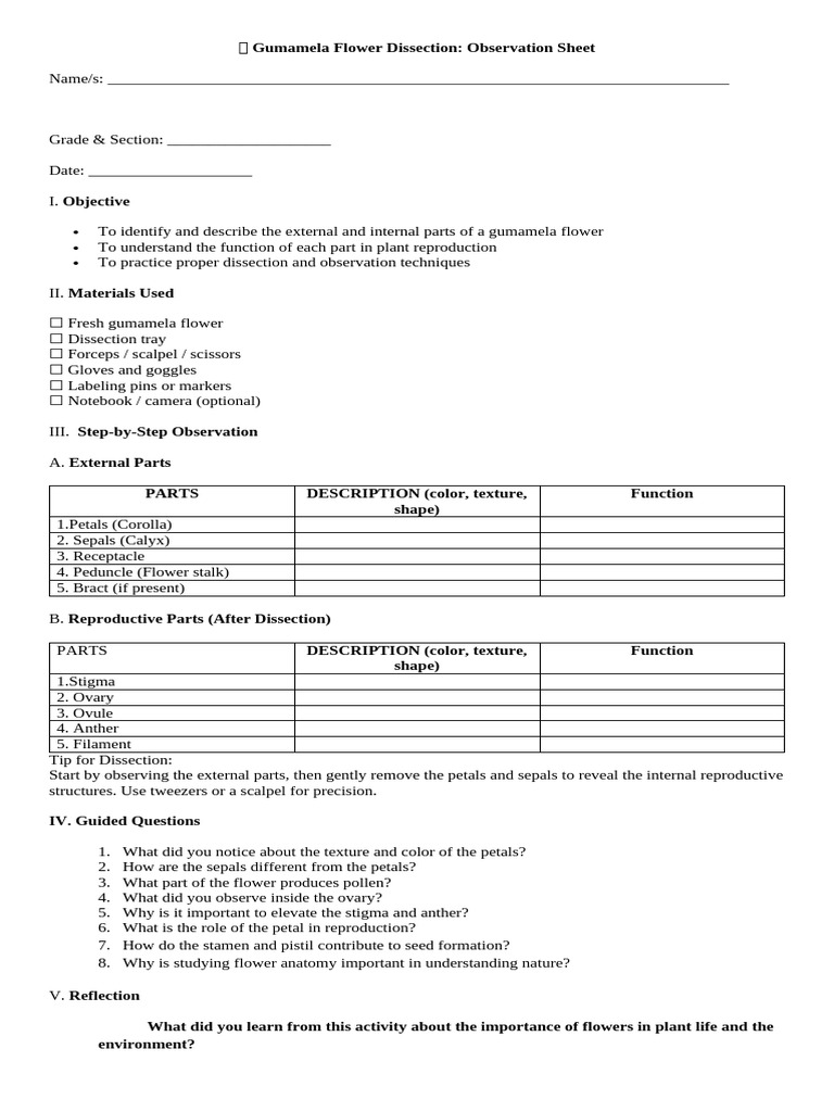 Gumamela Flower Dissection | PDF