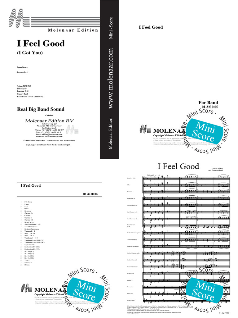 I Feel Good Concert Band Score | PDF | Musical Instruments | Aerophones