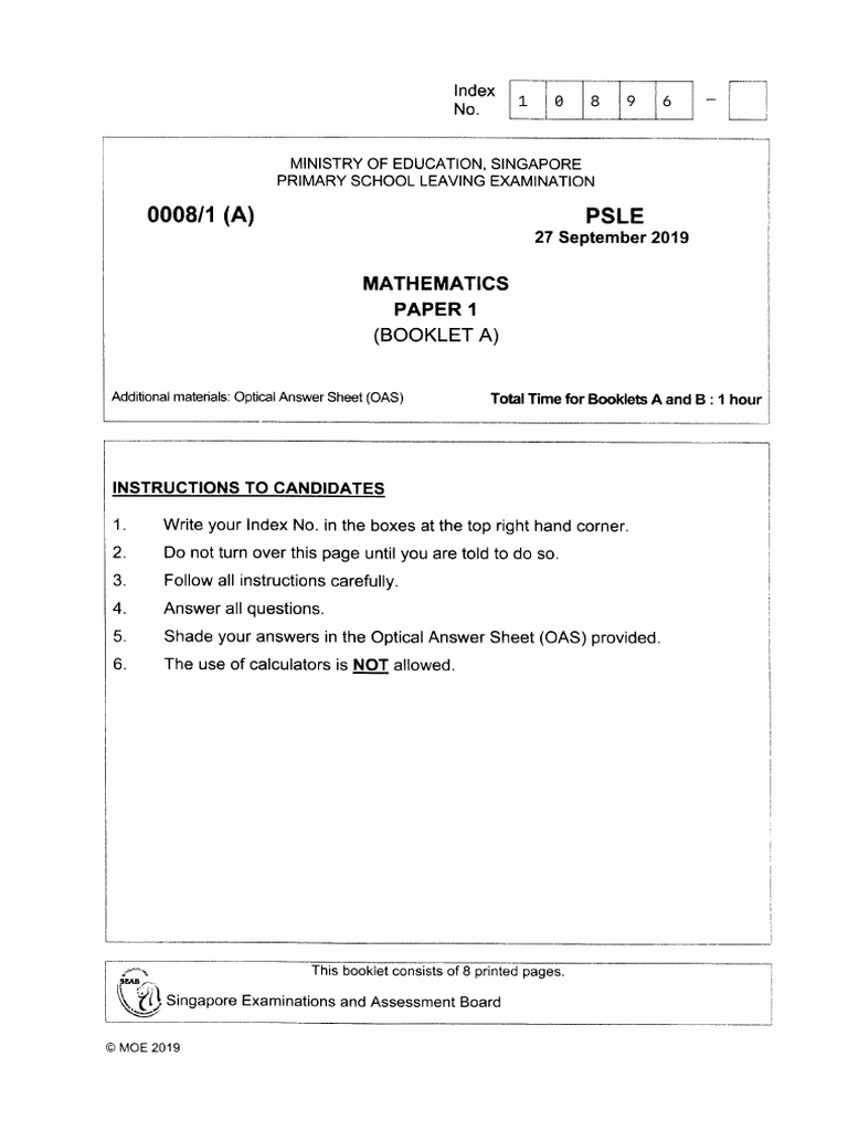2019 Psle Paper | PDF