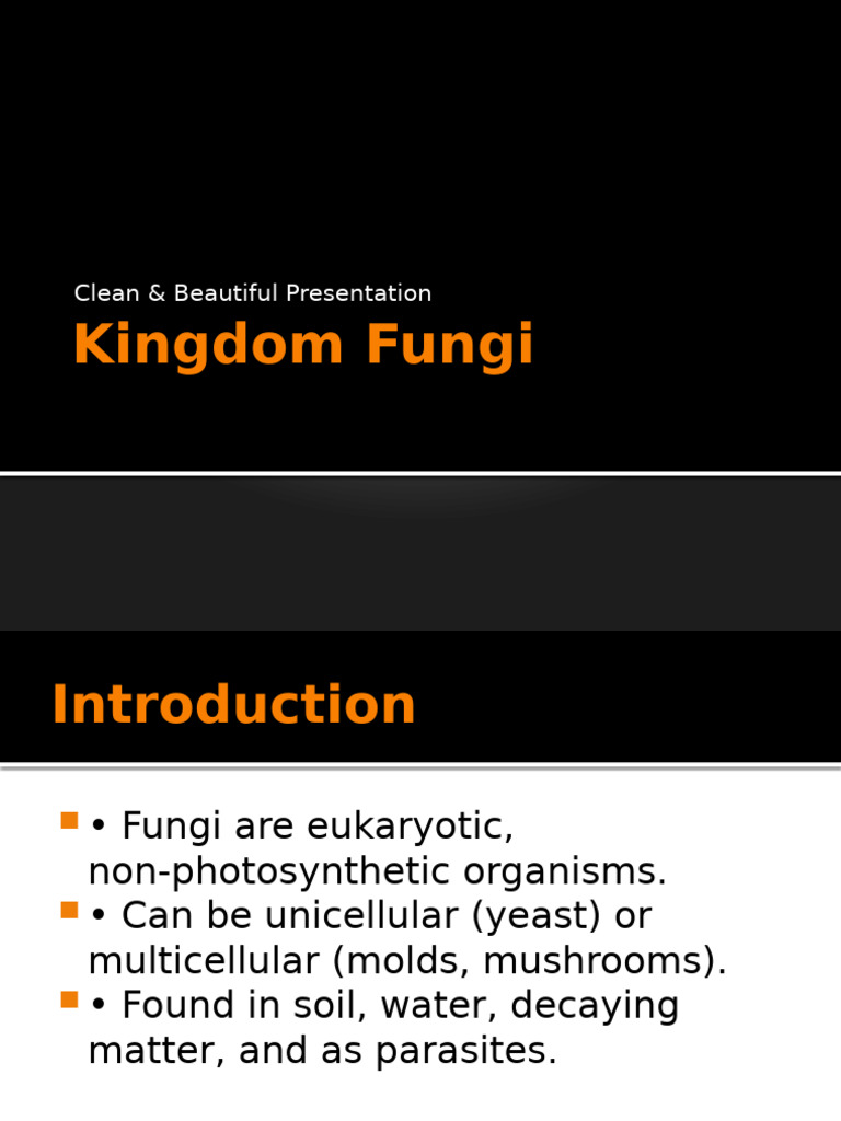Overview of Kingdom Fungi Characteristics | PDF