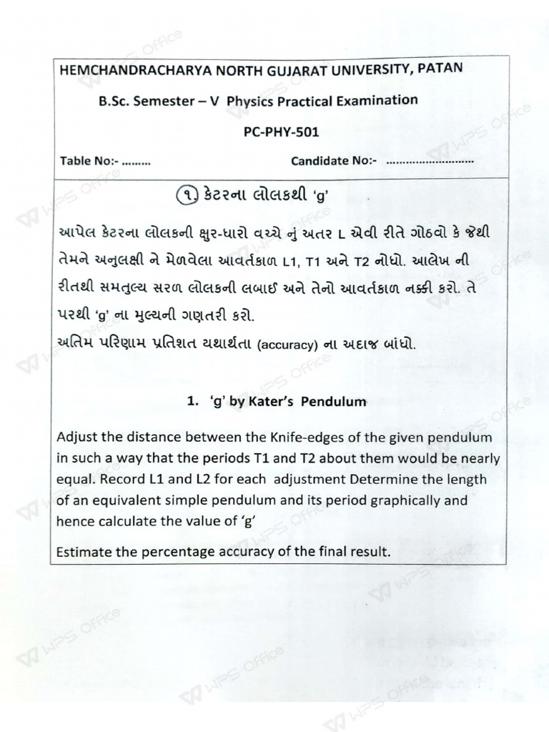 BSc Sem -5 Practical Slips Oct-Nov 2023 (New Syllebus) | PDF