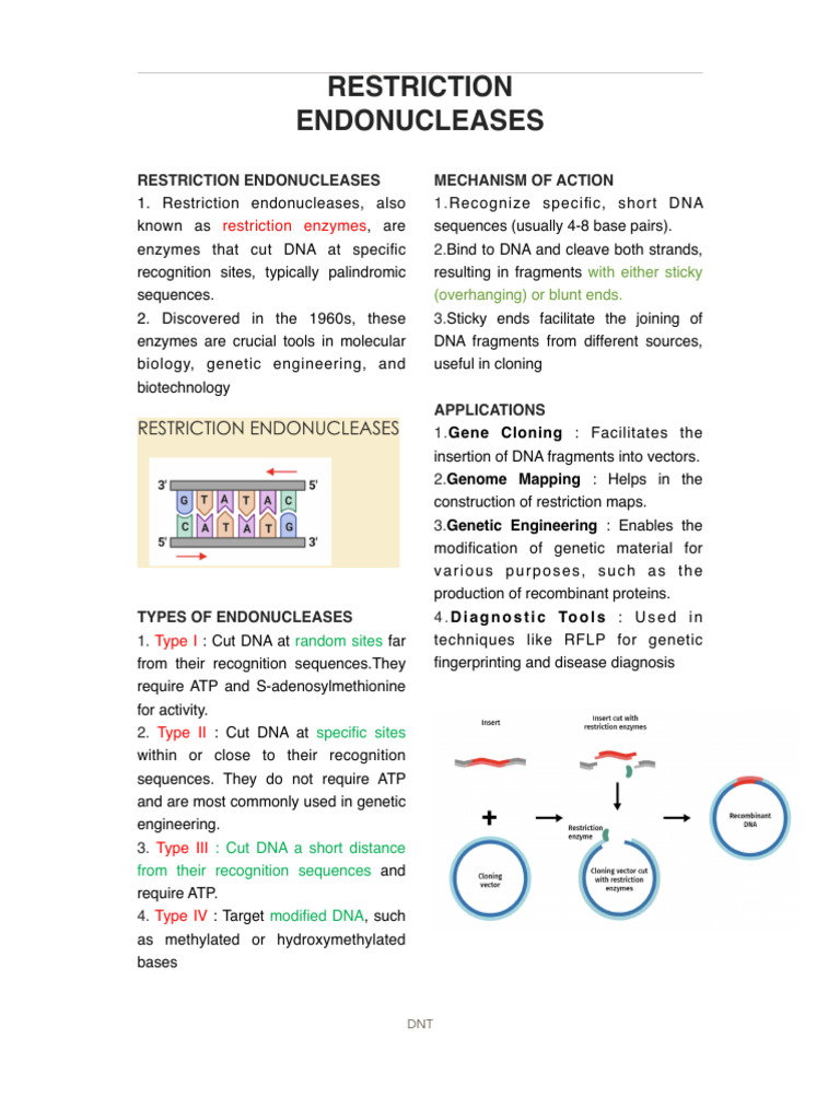 Overview of Restriction Endonucleases | PDF | Restriction Enzyme ...