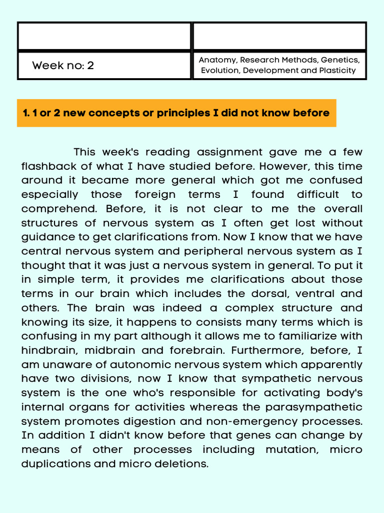 White Torn Paper A4 Document | PDF | Brain | Nervous System