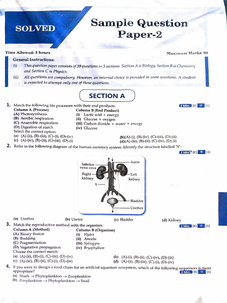 Sample Question Paper - 2 | PDF