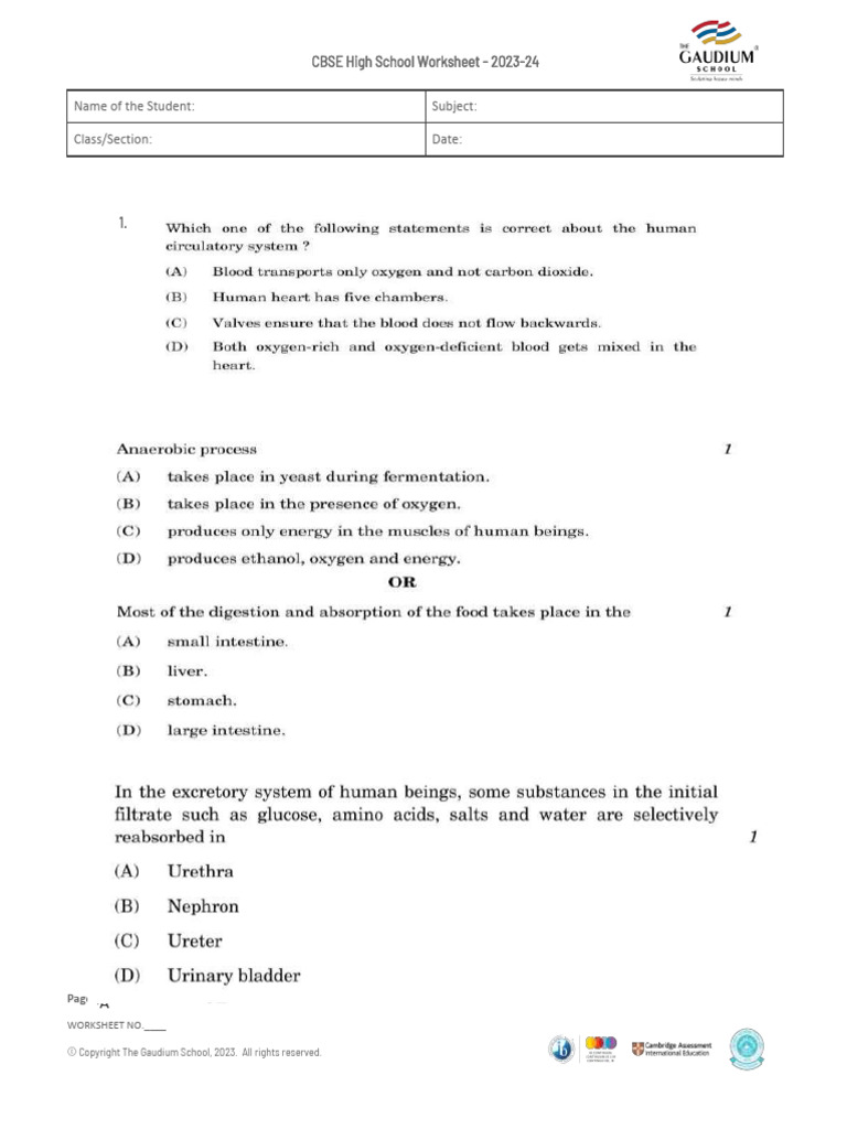 CBSE High School Worksheet 2023-24 | PDF