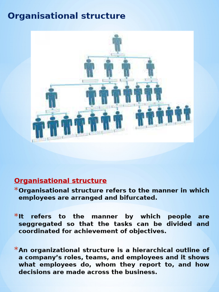 TYBMS PM Module 1 Chapter 2 Organizational Structure | PDF ...