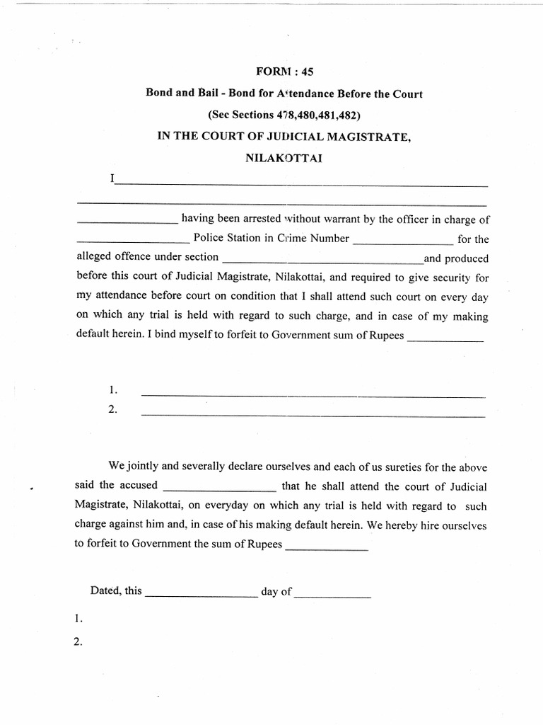 Bail Bond | PDF