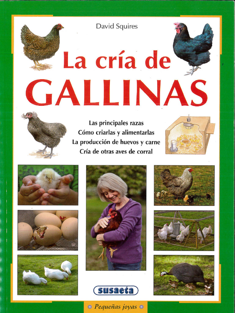 Cria de Gallinas | PDF