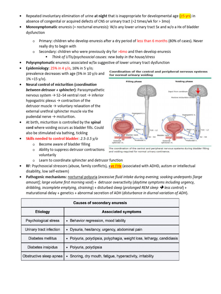 Nocturnal Enuresis | PDF | Urination | Urinary Incontinence