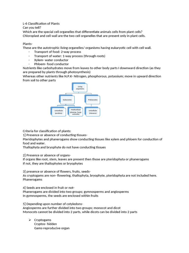 Plant Classification and Characteristics | PDF | Plants | Cell (Biology)