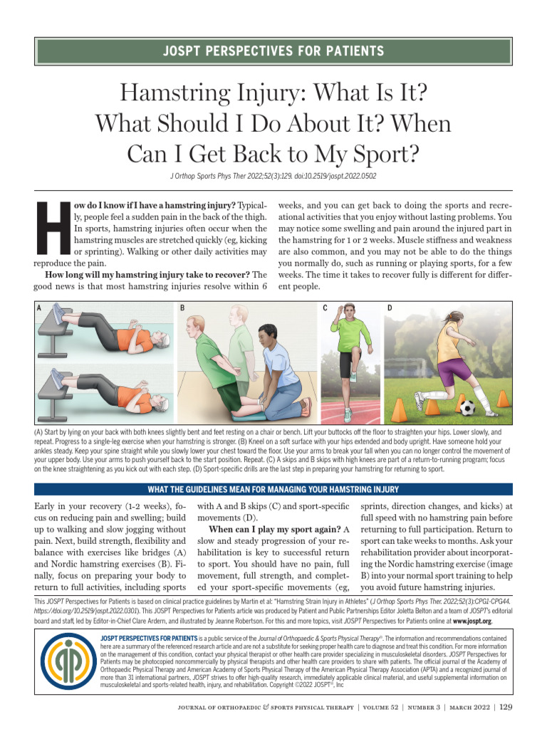 Hamstring Injury: Recovery & Return to Sport | PDF | Physical Therapy ...