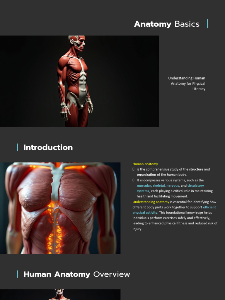 Anatomy Basics | PDF | Human Body | Anatomy