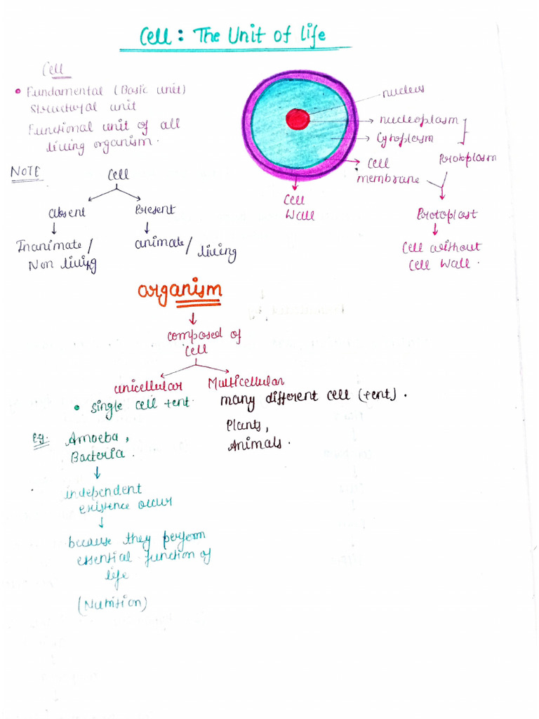 Cell The Unit of Life 1 | PDF