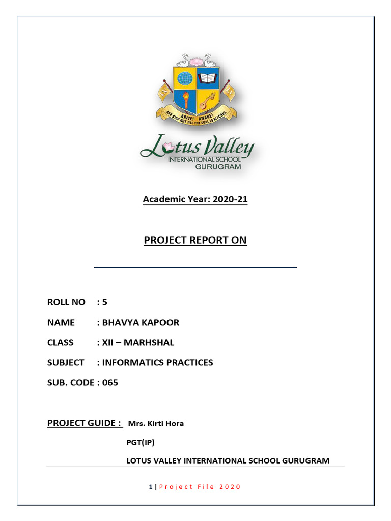 IP Project File | PDF | Computer Programming | Software Bug