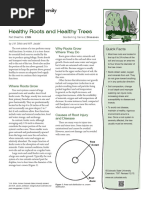 NJUG Tree Protection Guidelines 2025 | PDF | Trees | Root