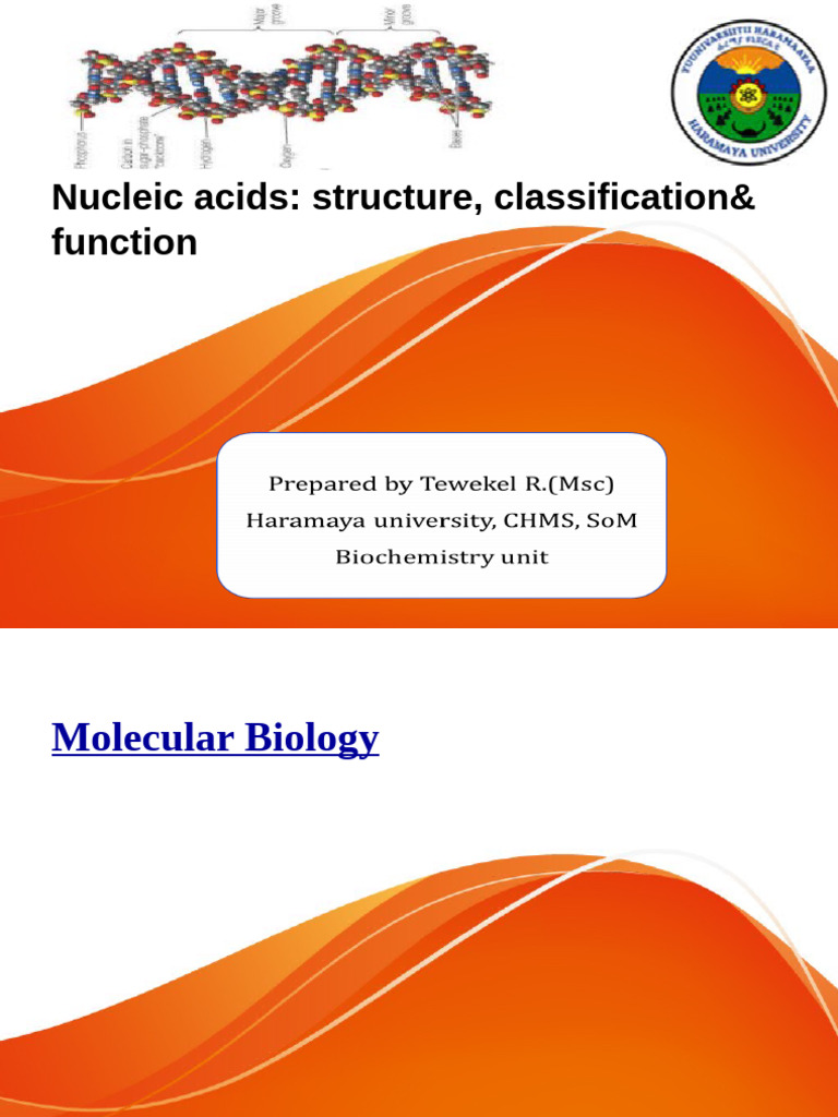 Nucleic Acids: Structure and Function | PDF | Nucleotides | Dna