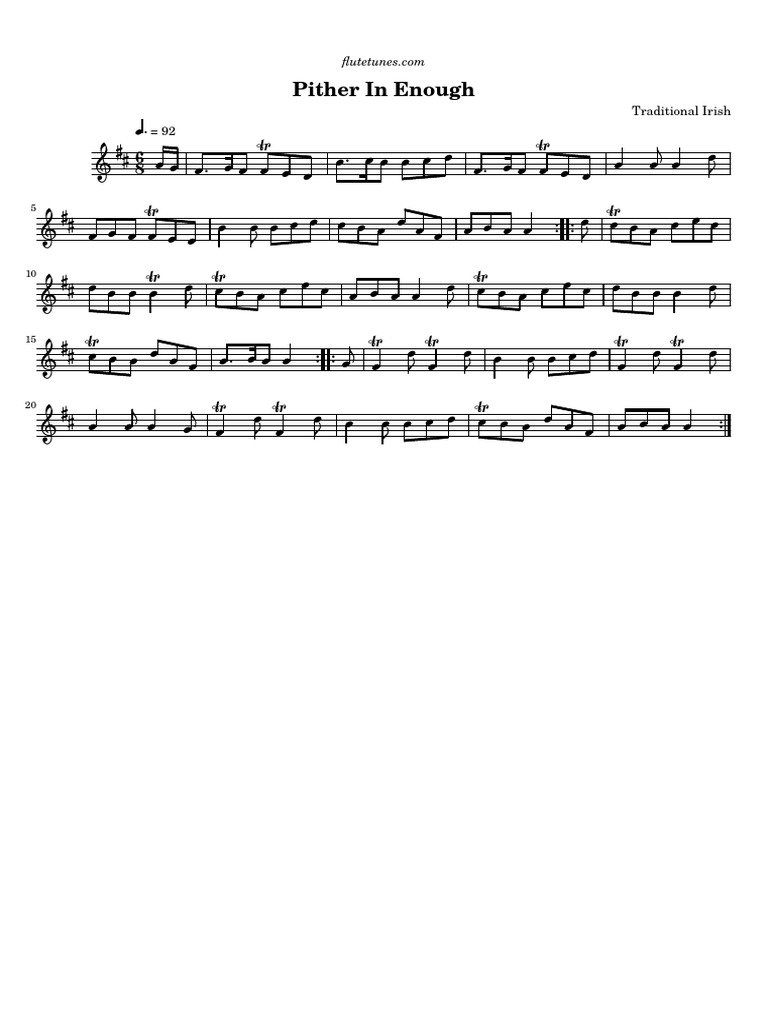 Traditional Irish Flute Sheet Music | PDF